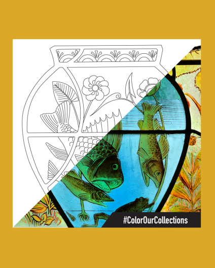 Colour our Collections | RBKC Museums